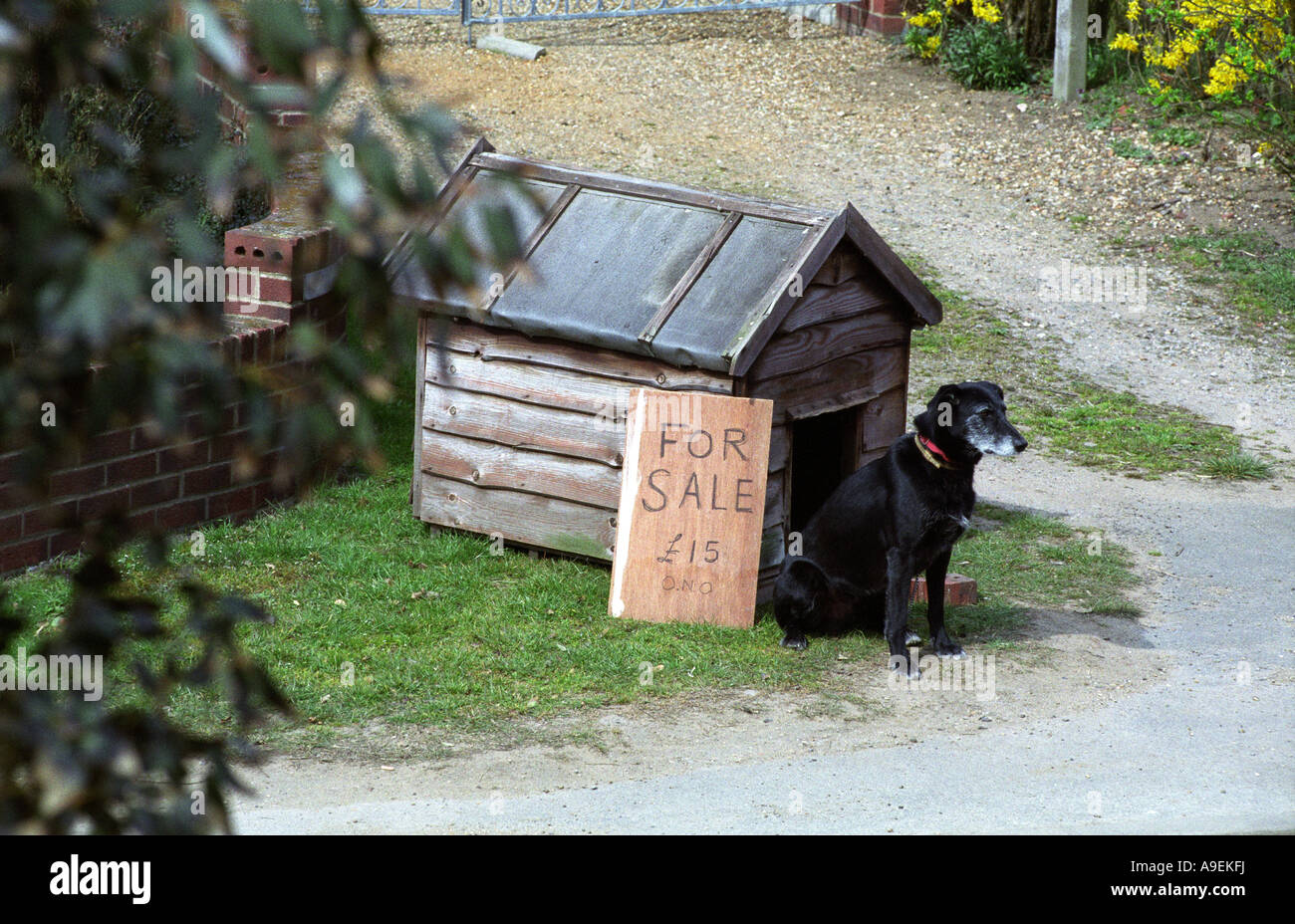 Suffolk home guard hi-res stock photography and images - Alamy