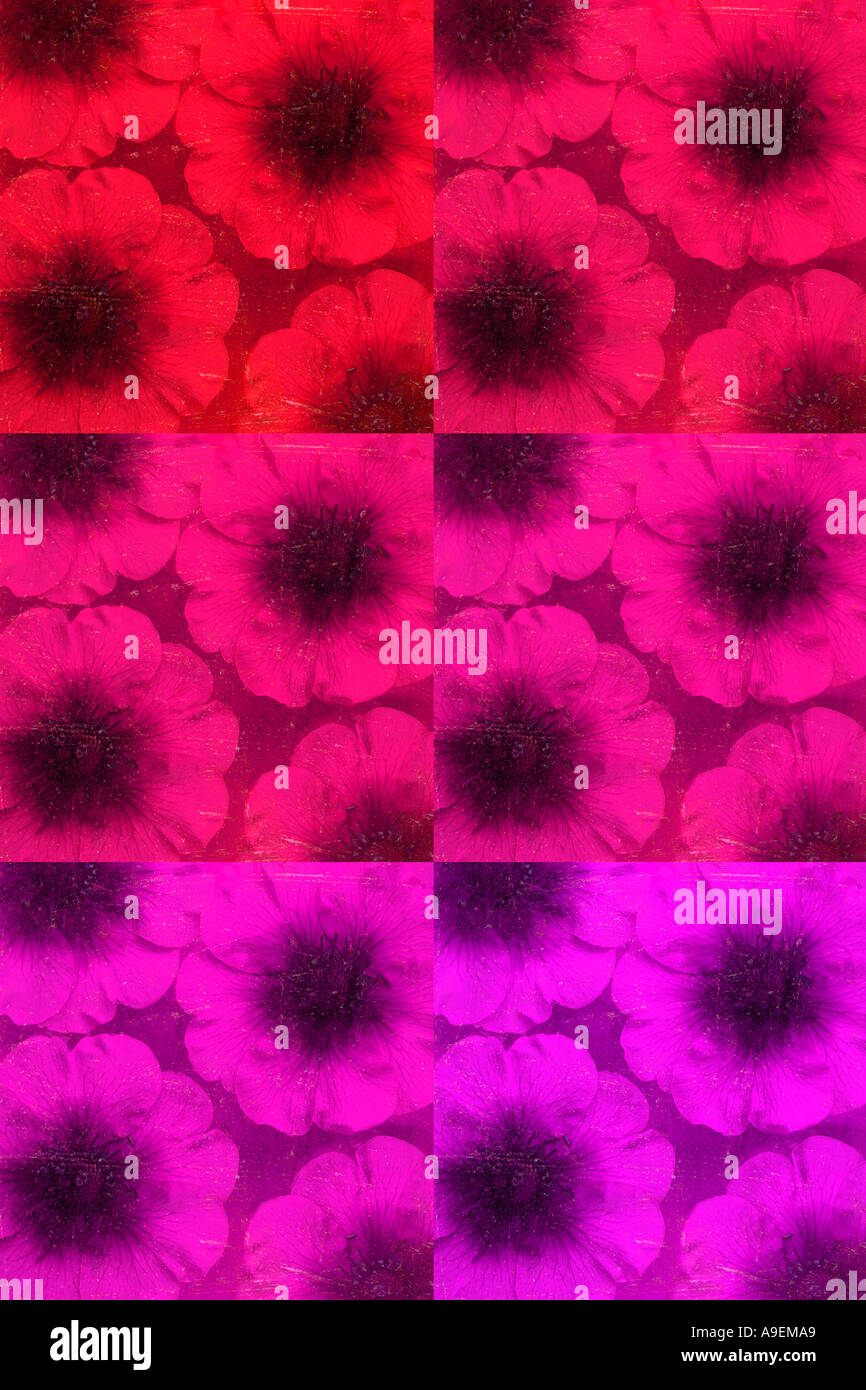 Repeat flower pattern hi-res stock photography and images - Alamy
