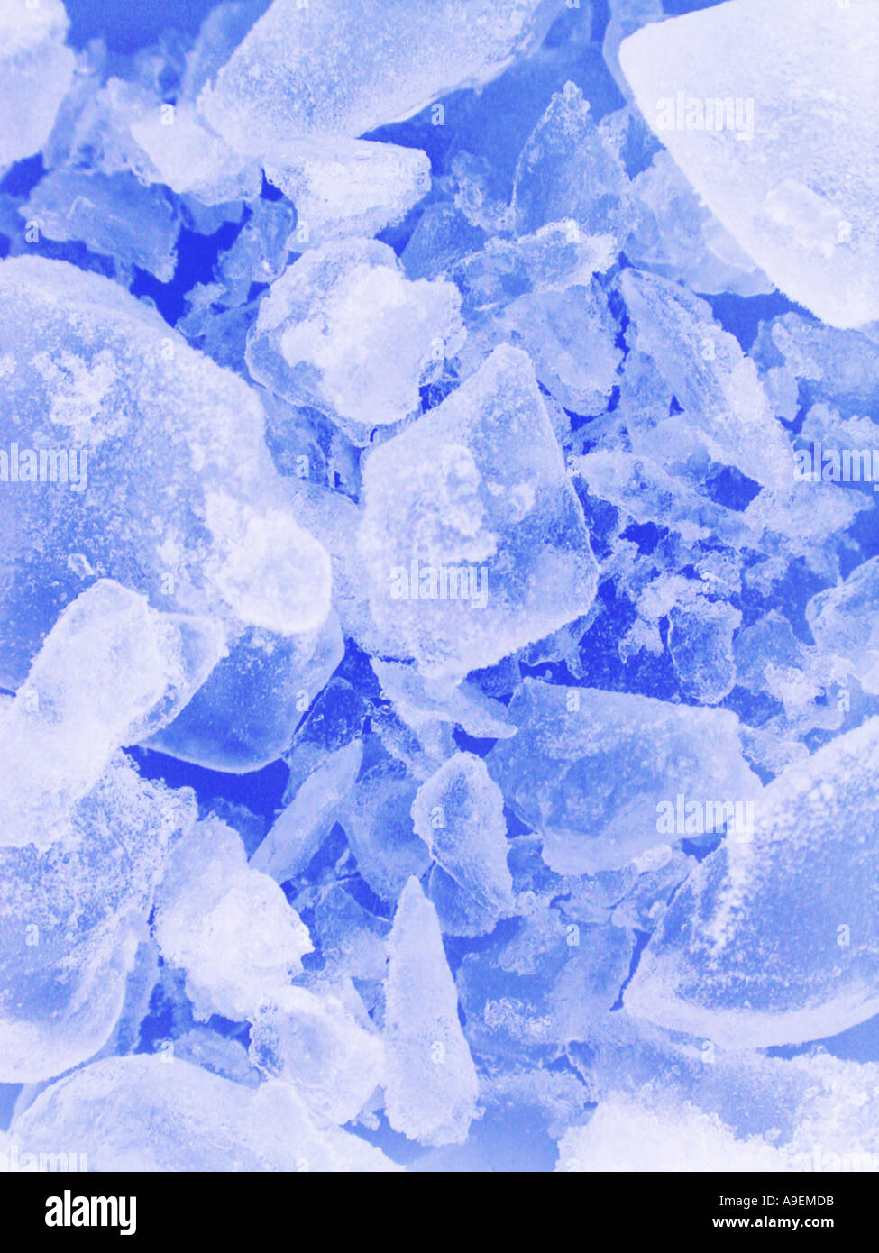 COMMON NAME Ice Stock Photo - Alamy