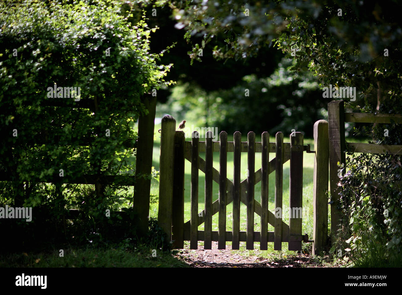 Back gate scene hi-res stock photography and images - Alamy