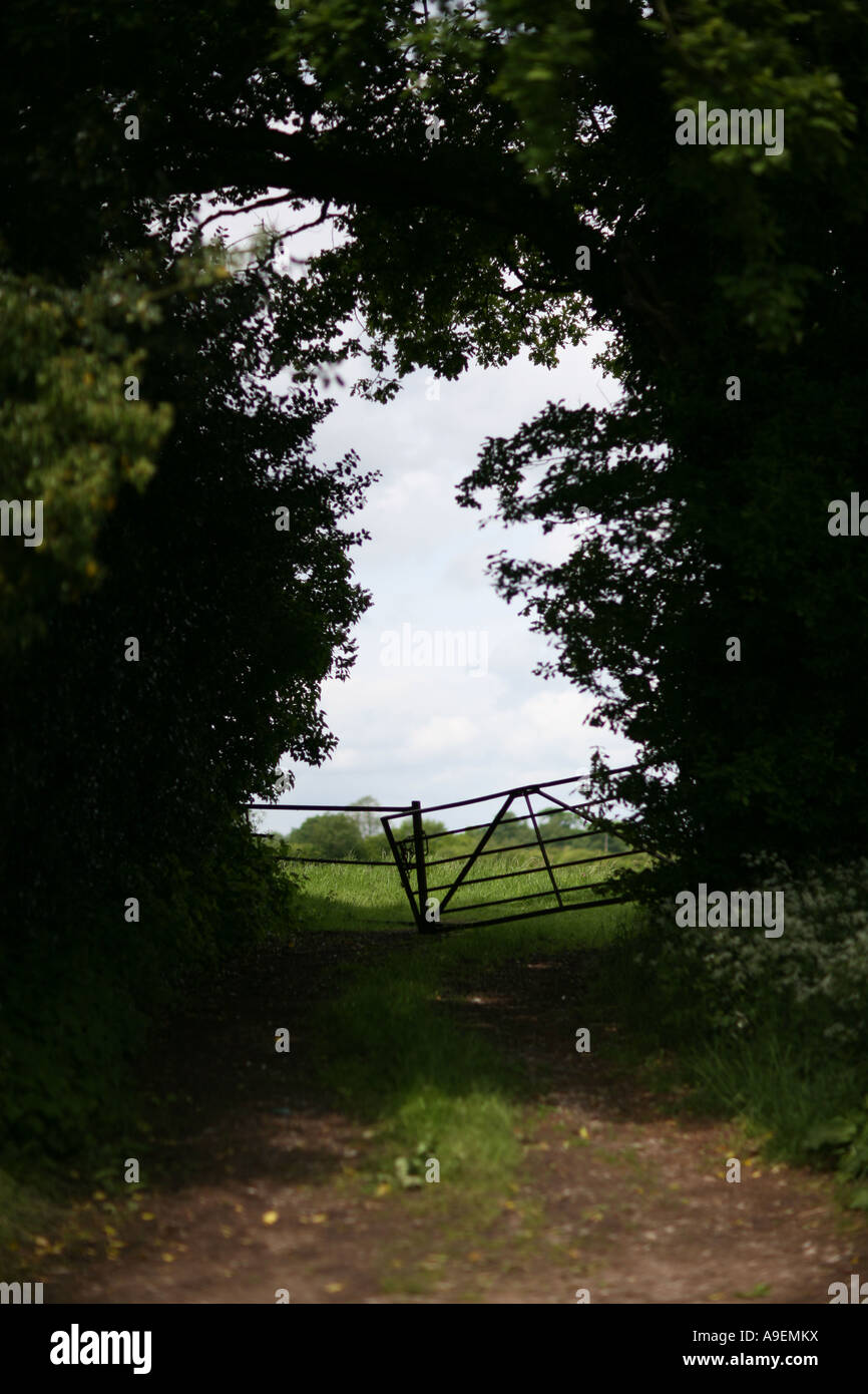 A farm gate leading to pasture in the English countryside Stock Photo ...