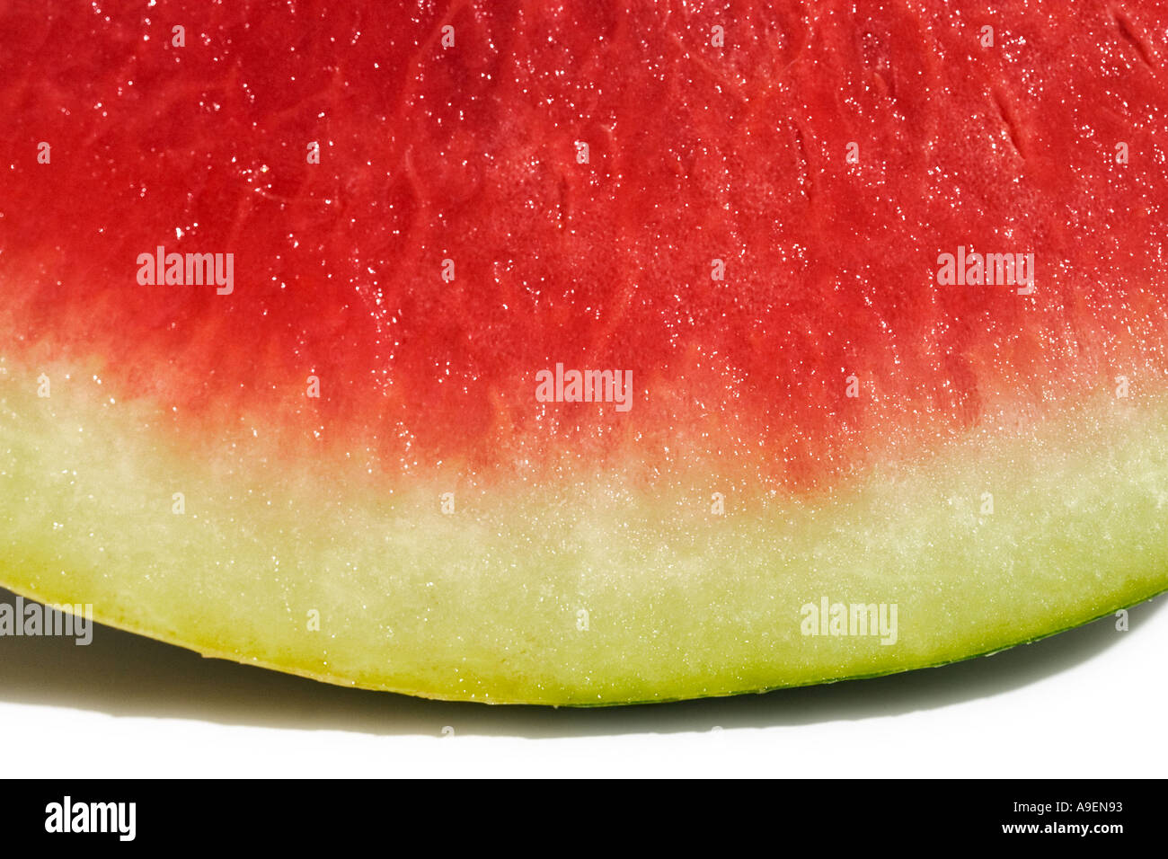 COMMON NAME Watermelon LATIN NAME Citrulus lanatus Stock Photo - Alamy