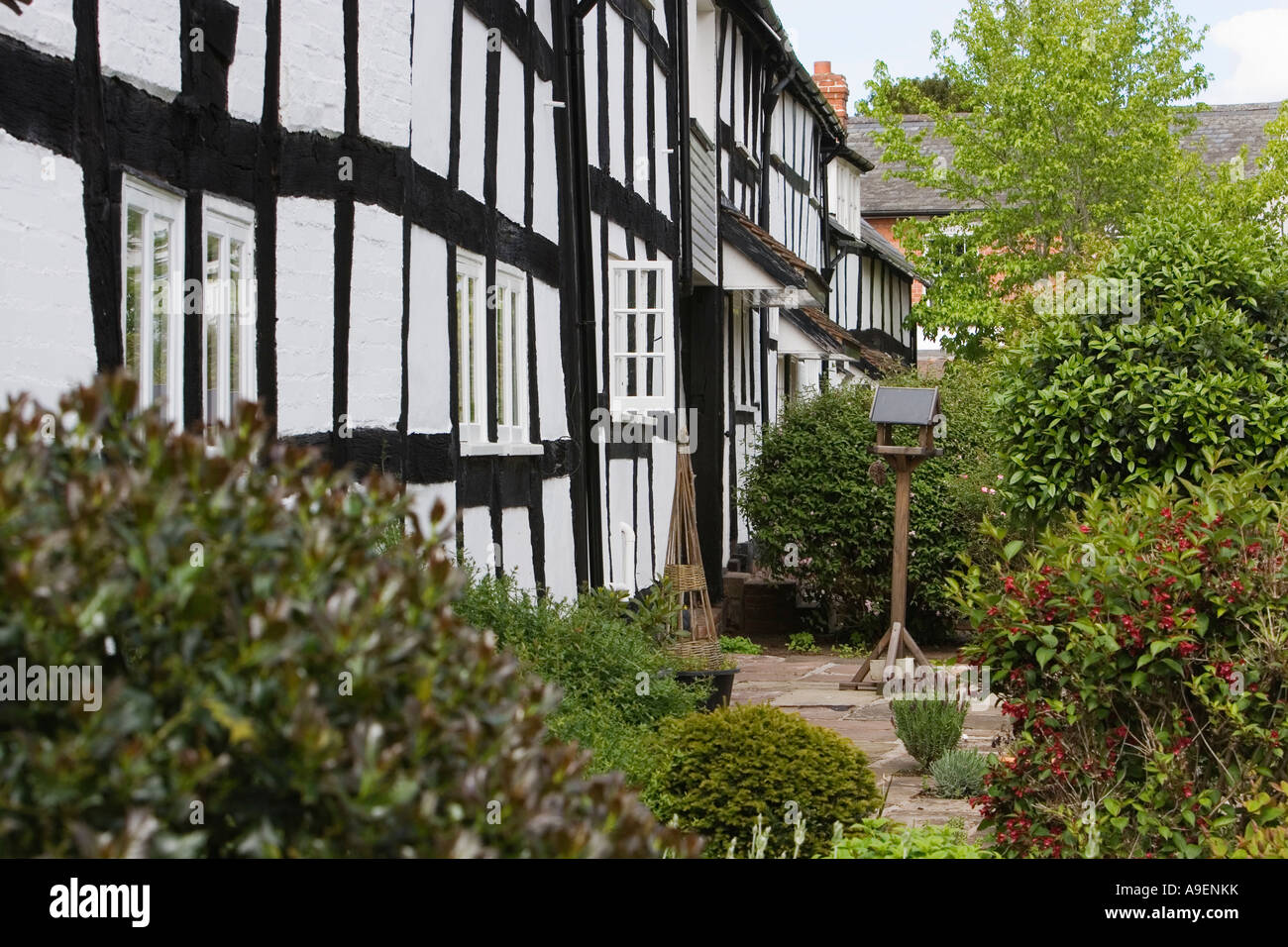 Dilwyn hi-res stock photography and images - Alamy