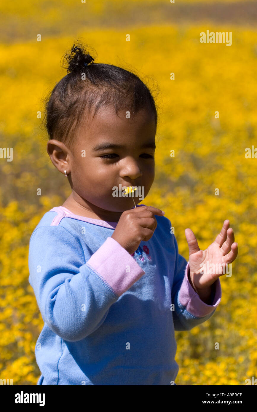 Young Girl Smelling Yellow Wildflower Stock Photo - Alamy