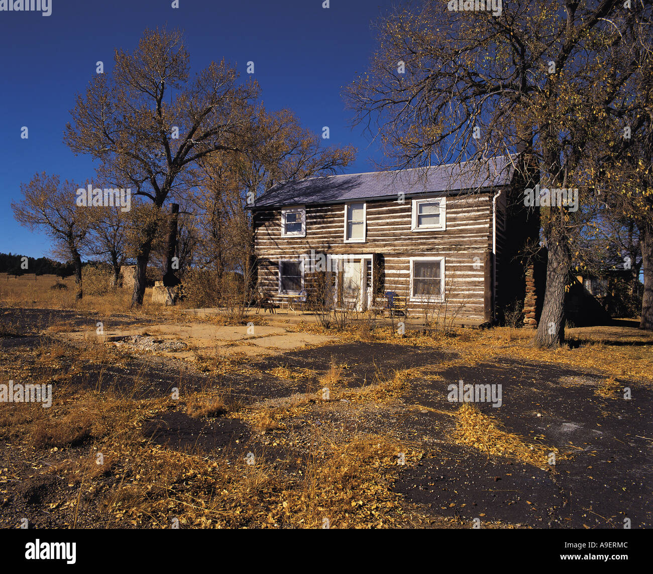 Unkempt wooden house with cottonwood trees on Route 66 near Seligman ...