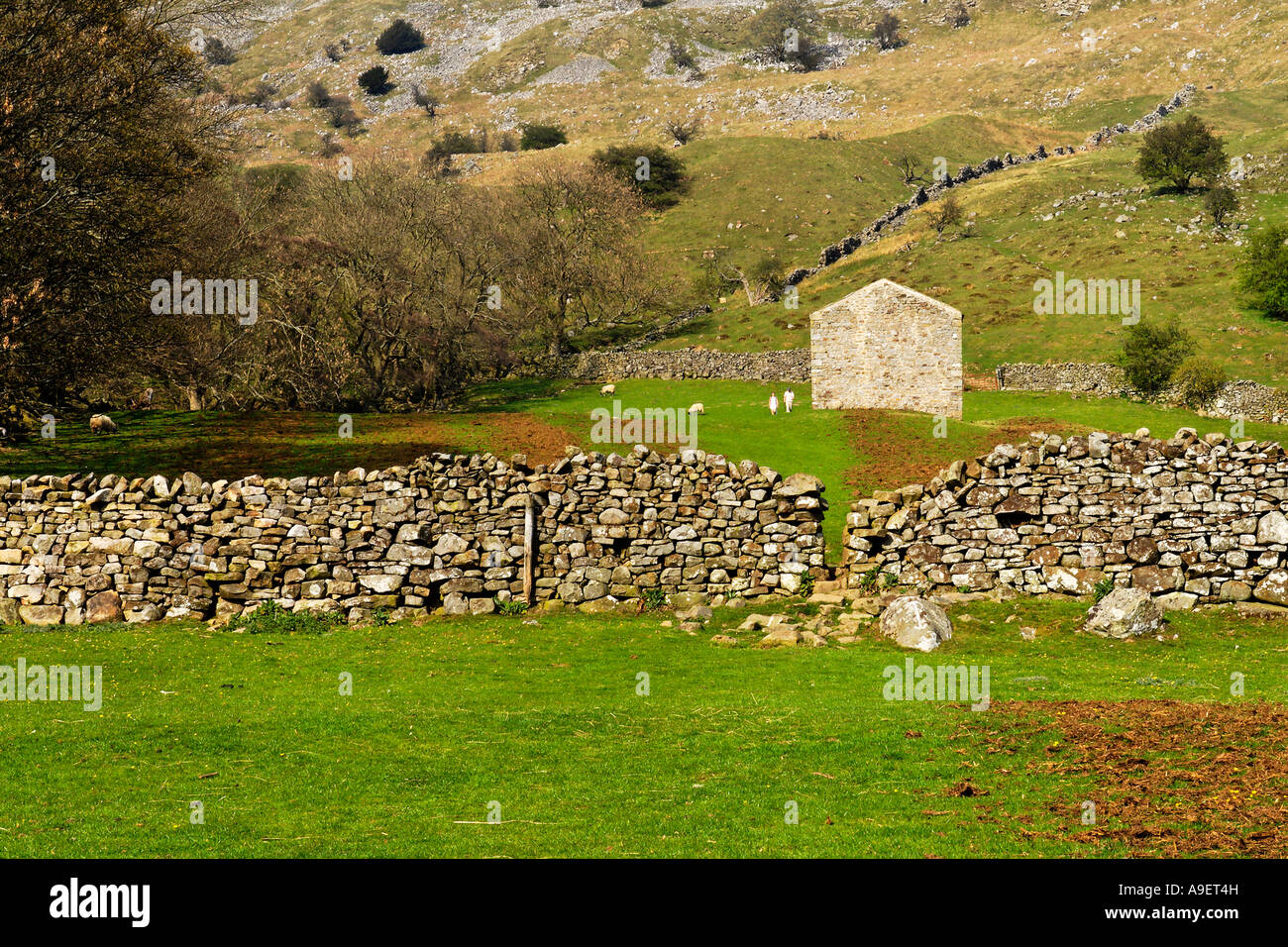 Quintessential Swaledale landscape Stock Photo - Alamy