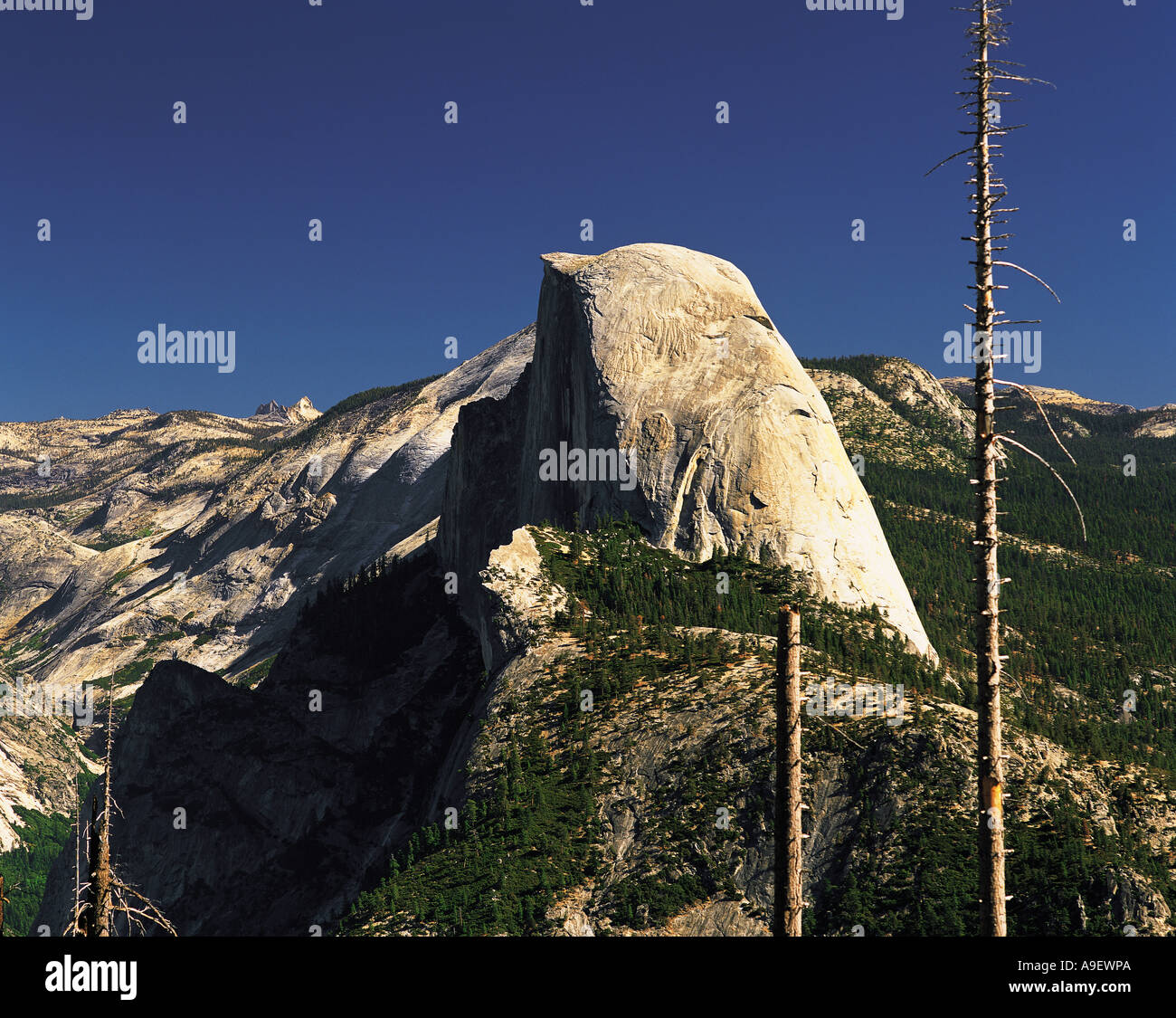Half Dome from near Glacier Point Yosemite Valley National Park ...