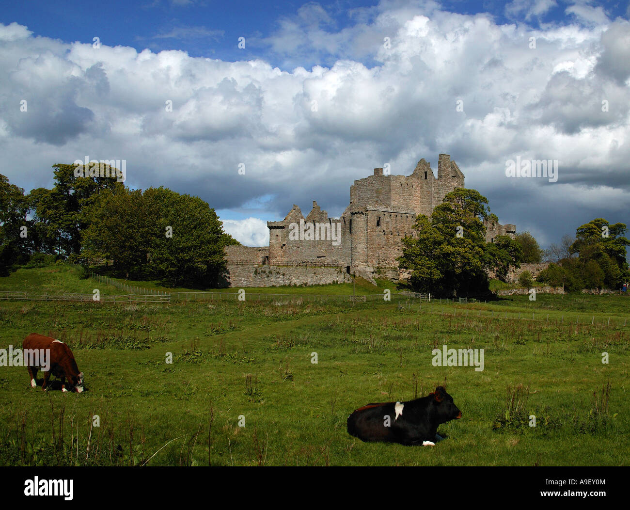 Craigmillar Castle Edinburgh Scotland Europe Stock Photo - Alamy