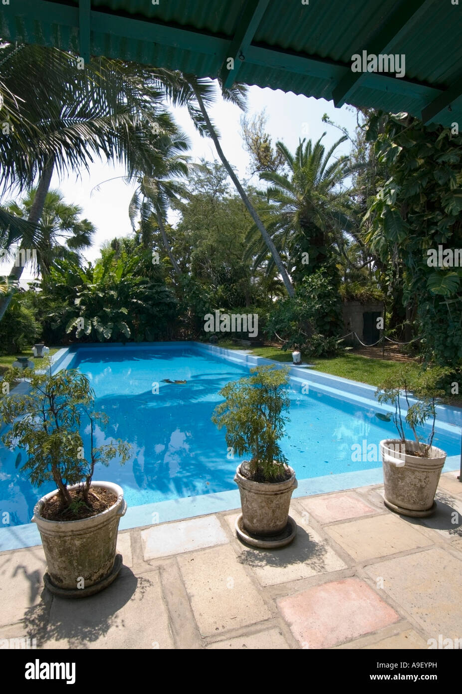 Hemingway's house swimming pool Key West - Florida - USA Stock Photo ...