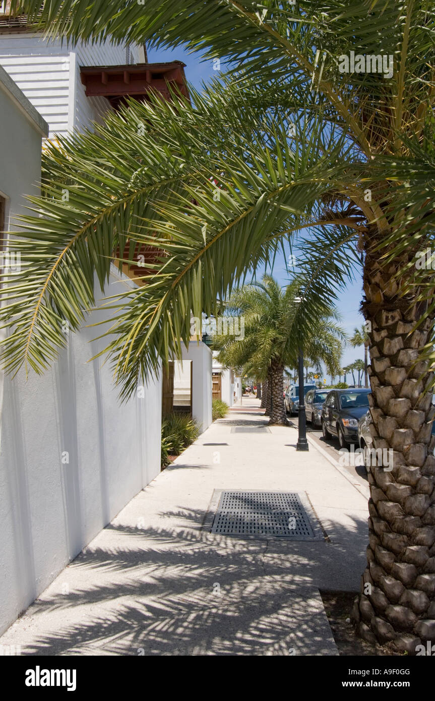 Usa florida scenery hi-res stock photography and images - Alamy