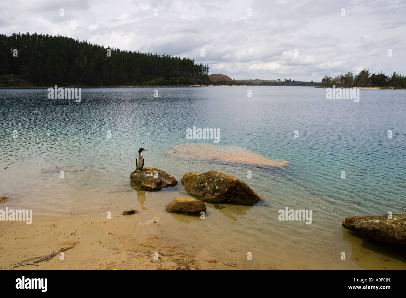 Taharoa new zealand hi-res stock photography and images - Alamy