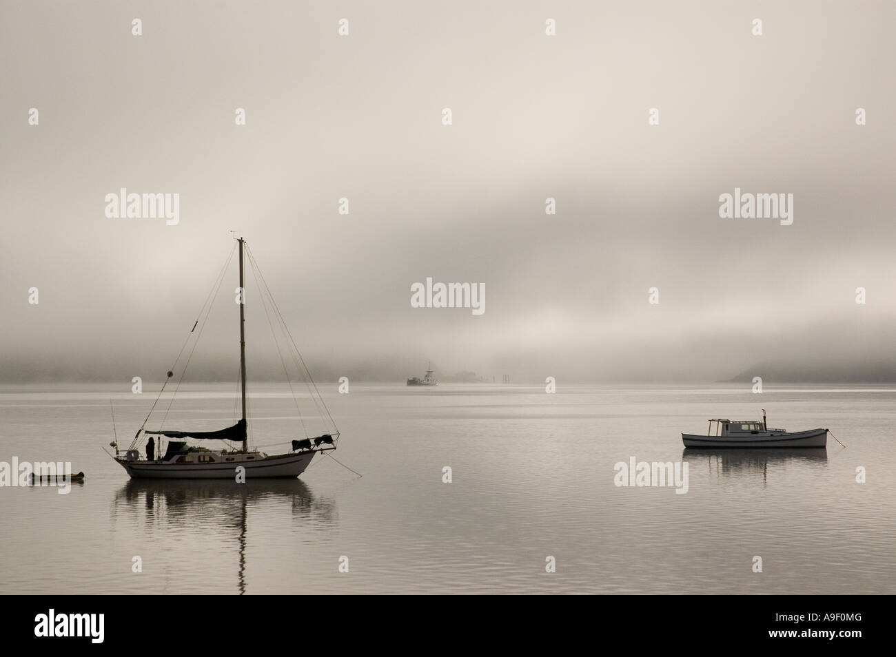 yatchs rawene hokianga harbour northland new zealand Stock Photo - Alamy