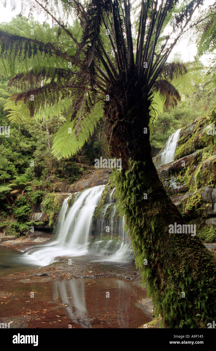 Tasmanian Waterfalls High Resolution Stock Photography and Images - Alamy