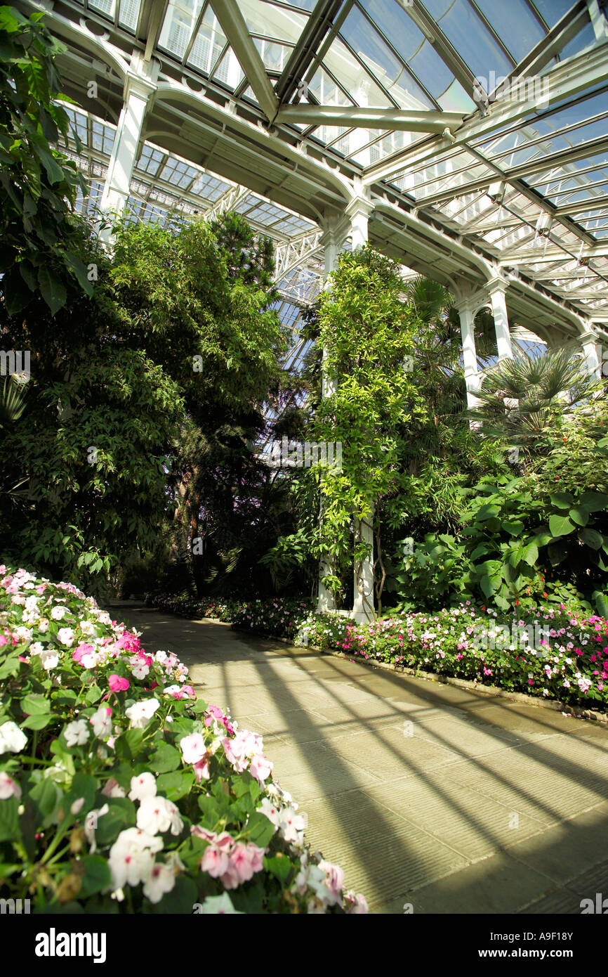 INTERIOR OF TEMPERATURE HOUSE IN KEW GARDENS , LONDON Stock Photo - Alamy