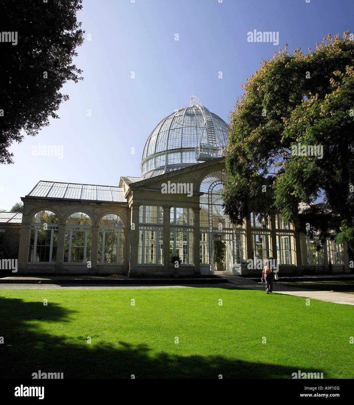 Great Conservatory at Syon House , Syon Park Stock Photo - Alamy