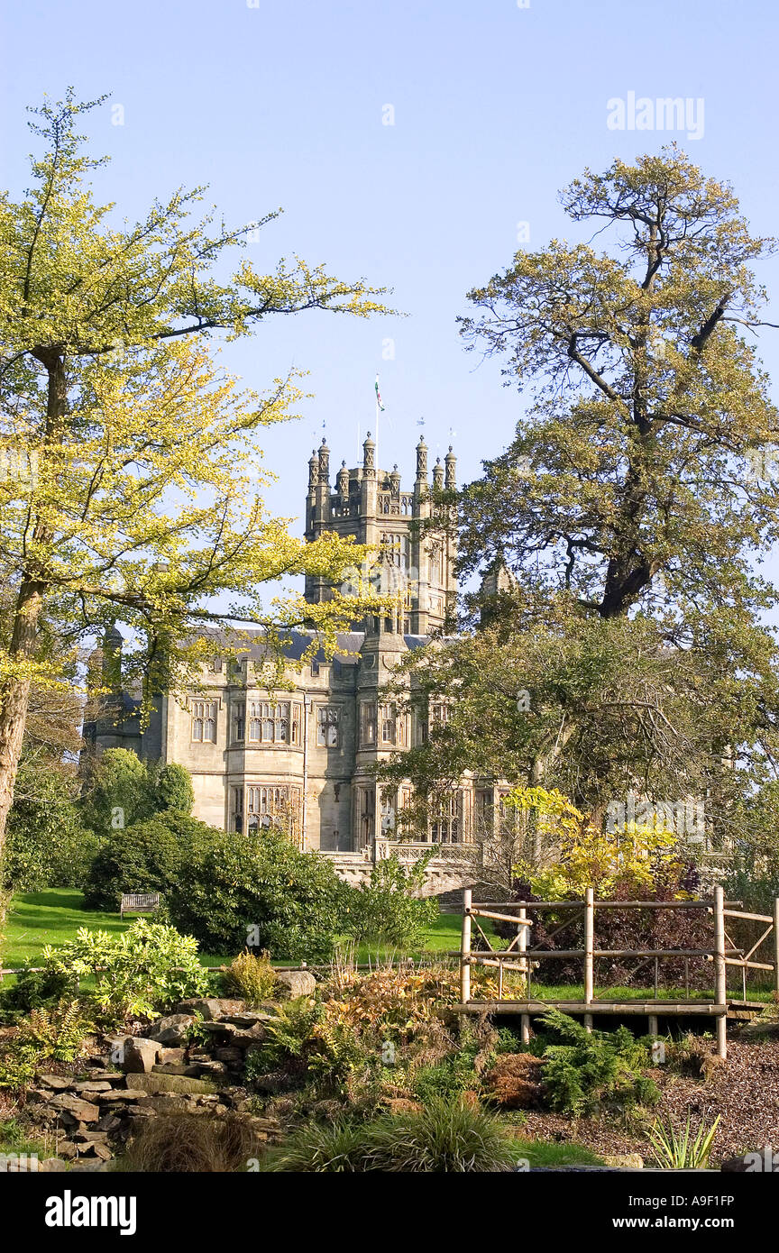 Margam country park tree hi-res stock photography and images - Alamy
