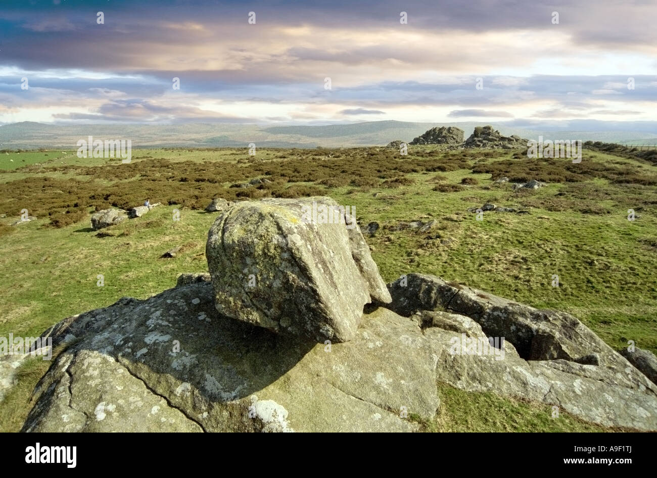 Welsh bluestone hi-res stock photography and images - Alamy