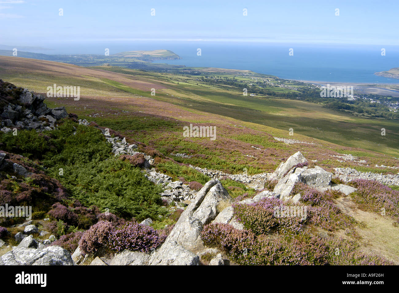 Carn ingli prescelli hills hi-res stock photography and images - Alamy