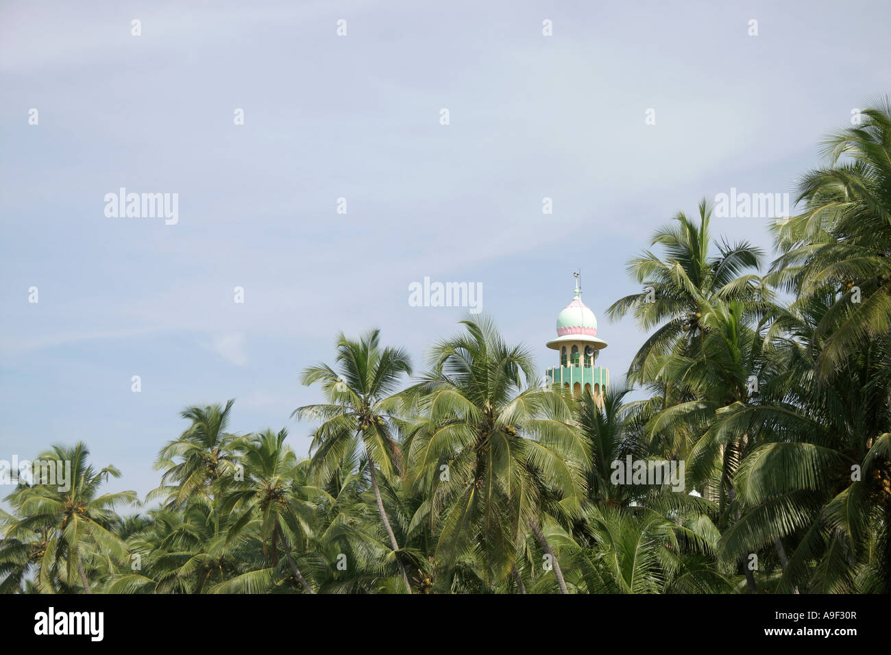 A turret of Alimood Mosque seen through the palm trees the coast from ...