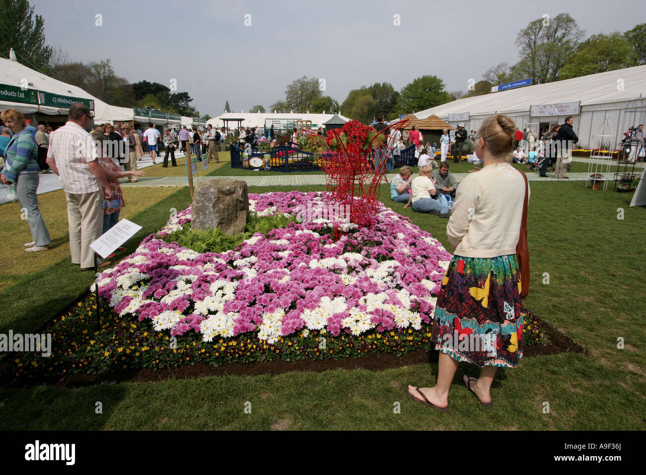 Royal Horticultural Society Spring Flower Show Bute Park Cardiff Stock ...