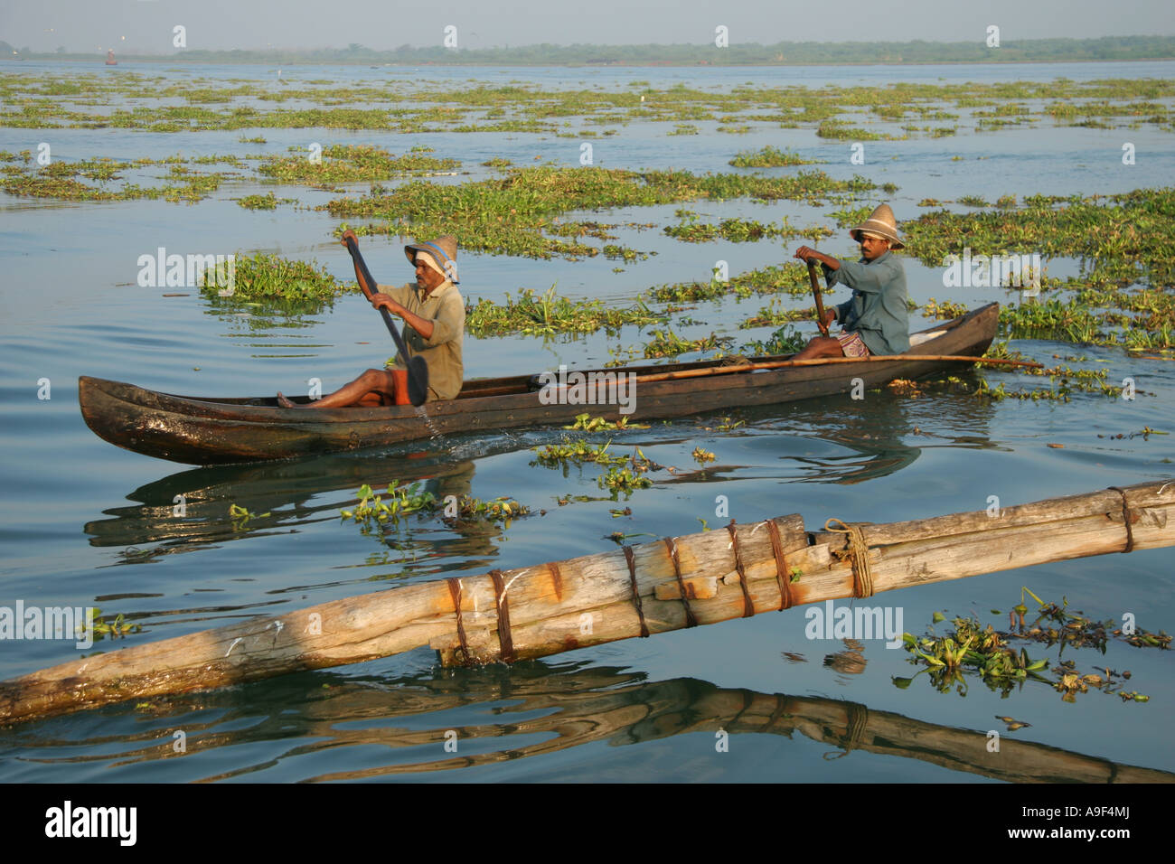 Fisherman paddle into shore to deliver their catch to market at the ...