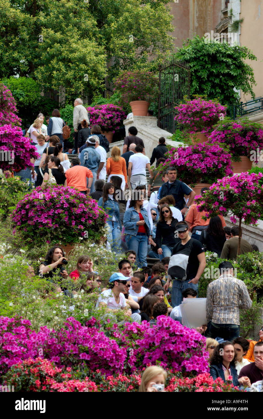 Azaleas hi-res stock photography and images - Alamy