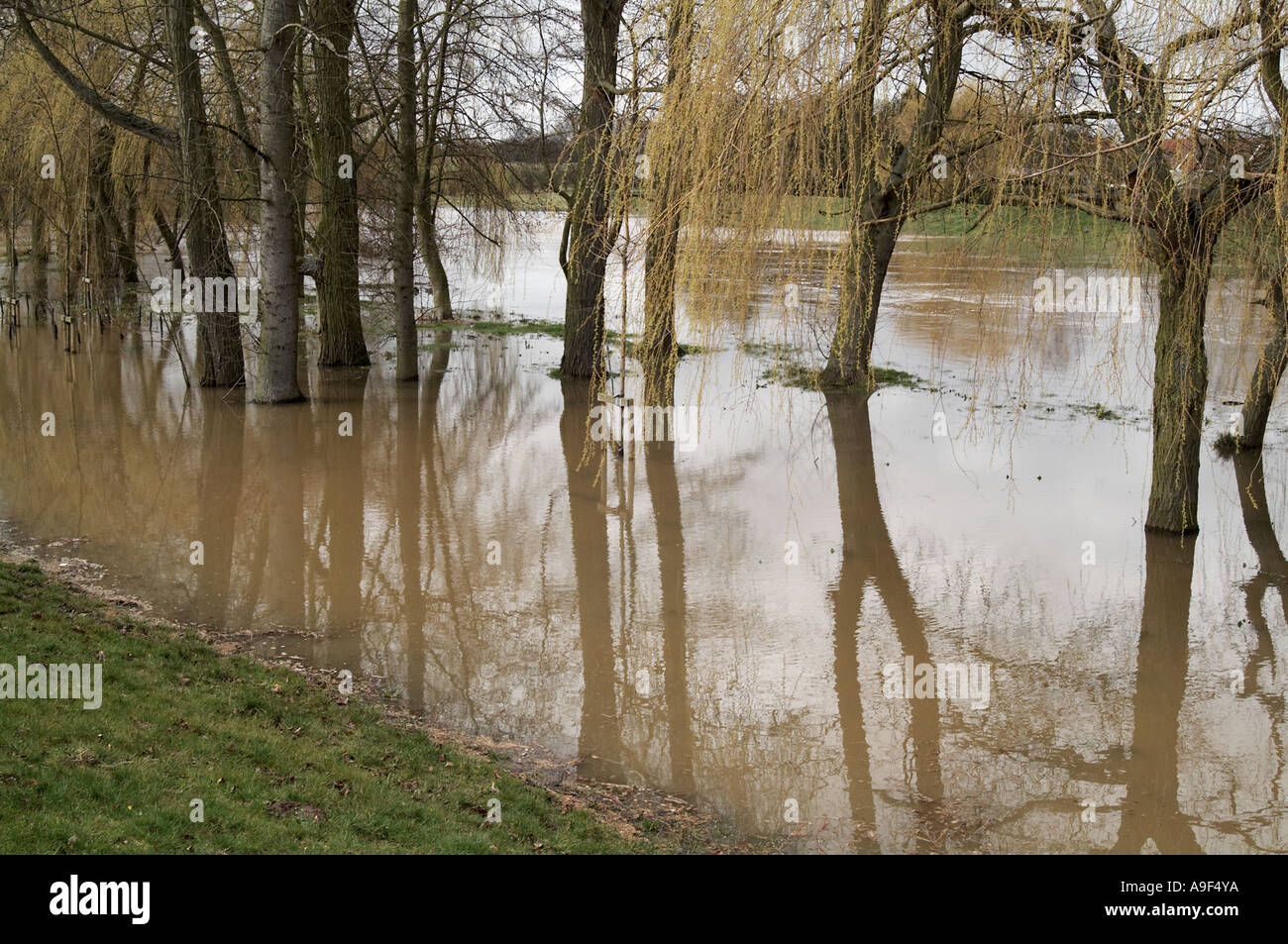 stamford bridge east yorkshire flood, water, river, level, swollen ...