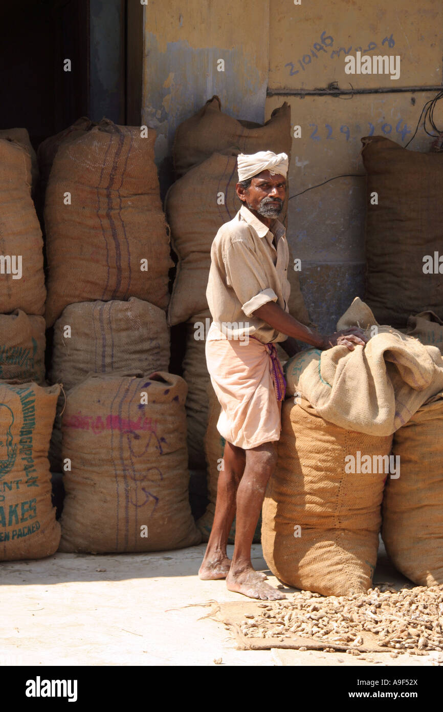 A worker bags up root ginger for export at the ginger factory in Fort ...