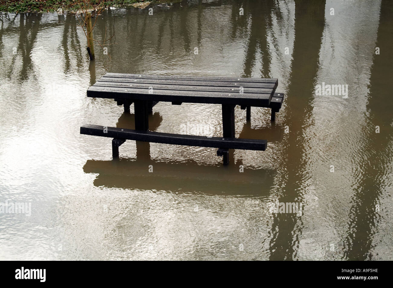 stamford bridge east yorkshire flood, water, river, level, swollen ...