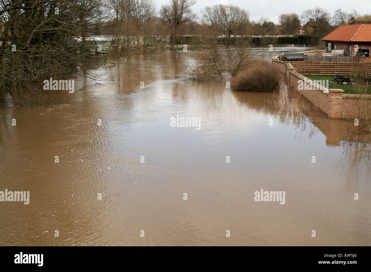 stamford bridge east yorkshire flood, water, river, level, swollen ...