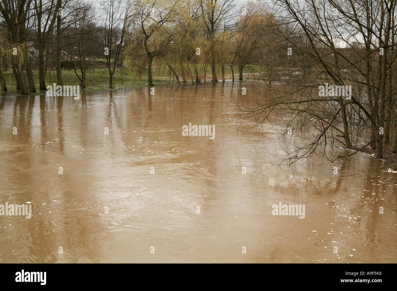 stamford bridge east yorkshire flood, water, river, level, swollen ...