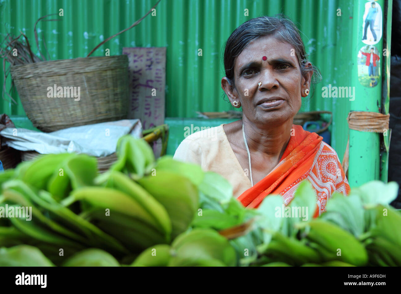 Betel nut quid hi-res stock photography and images - Alamy