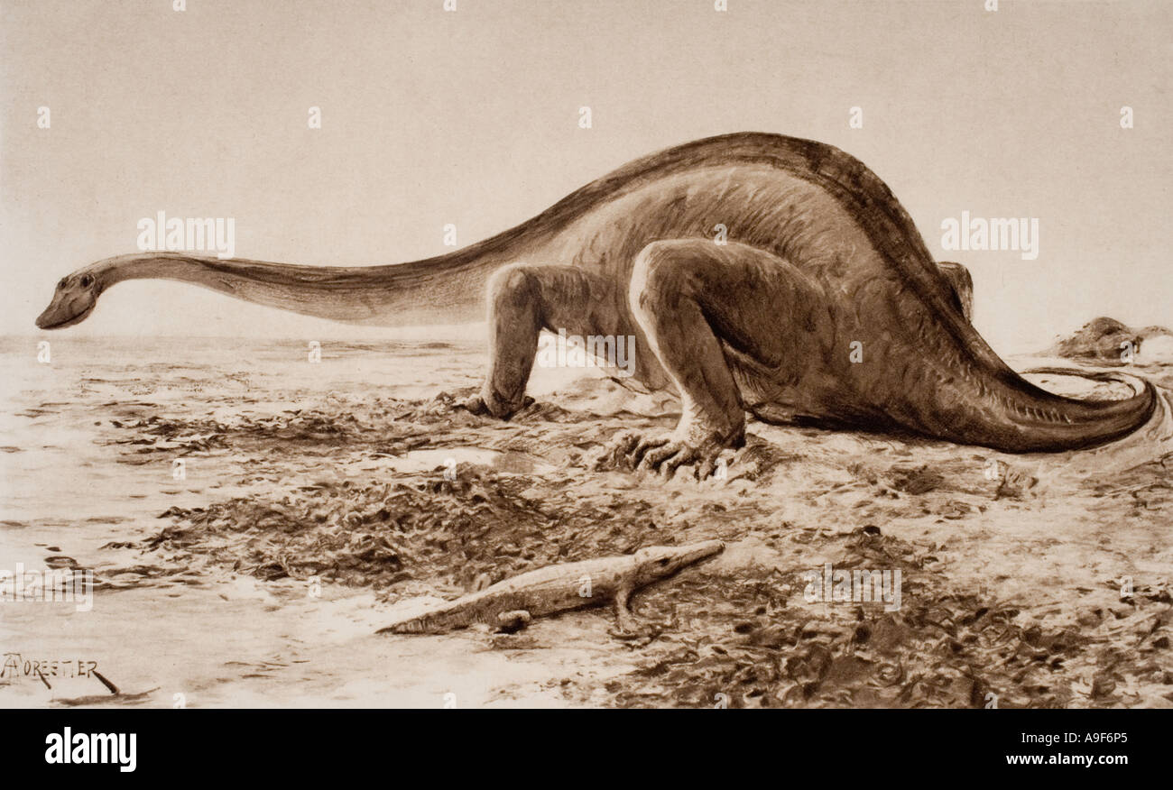 Giganotosaurus hi-res stock photography and images - Alamy