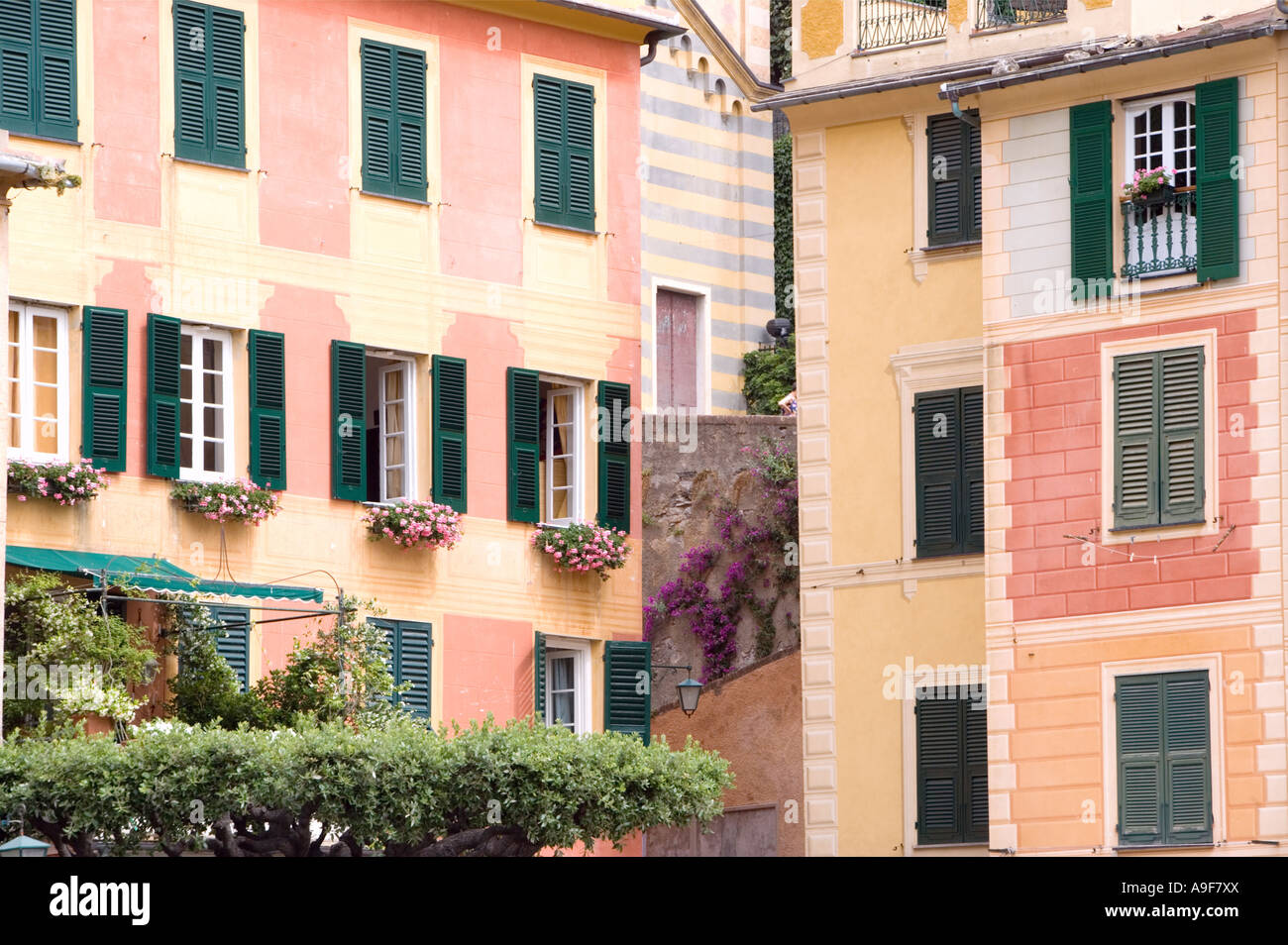 Painted buildings Portofino Liguria Italy Stock Photo - Alamy