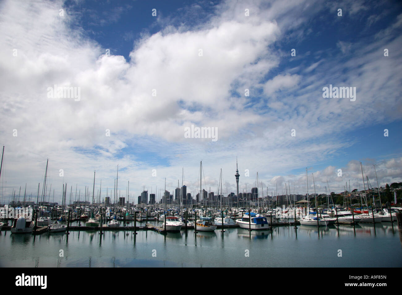 A view of the city of sails, Auckland, from Westhaven Marina, Auckland ...