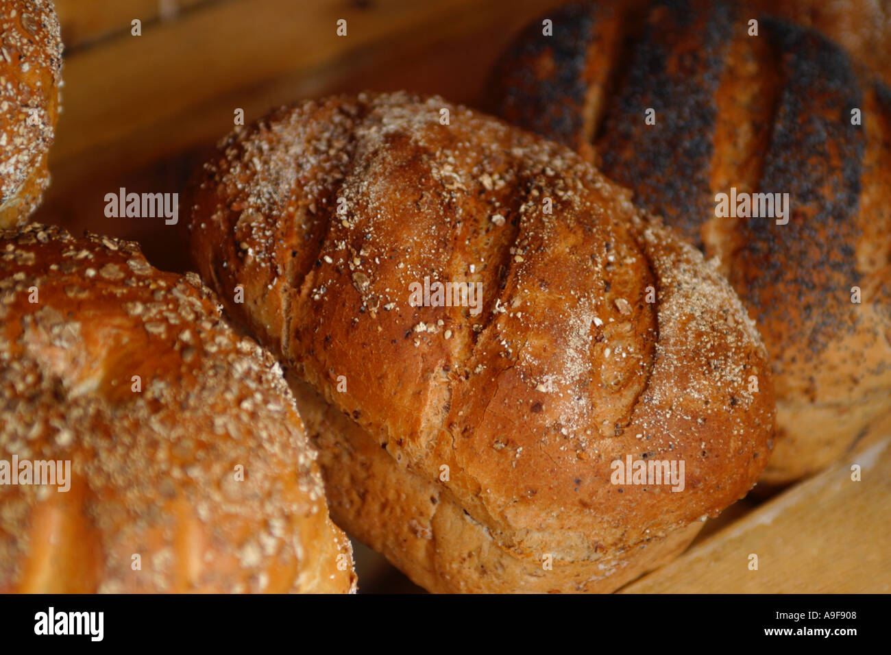 Newly baked golden grain and poppy seeded bread Stock Photo - Alamy