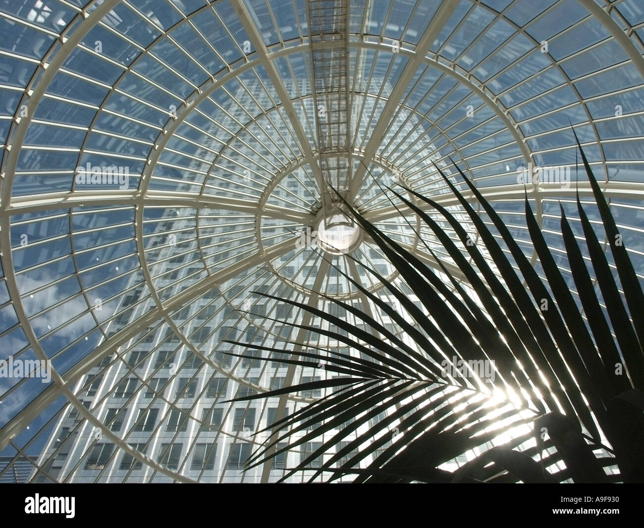 One Canada Square seen through glazed dome plant shields sun glint off ...