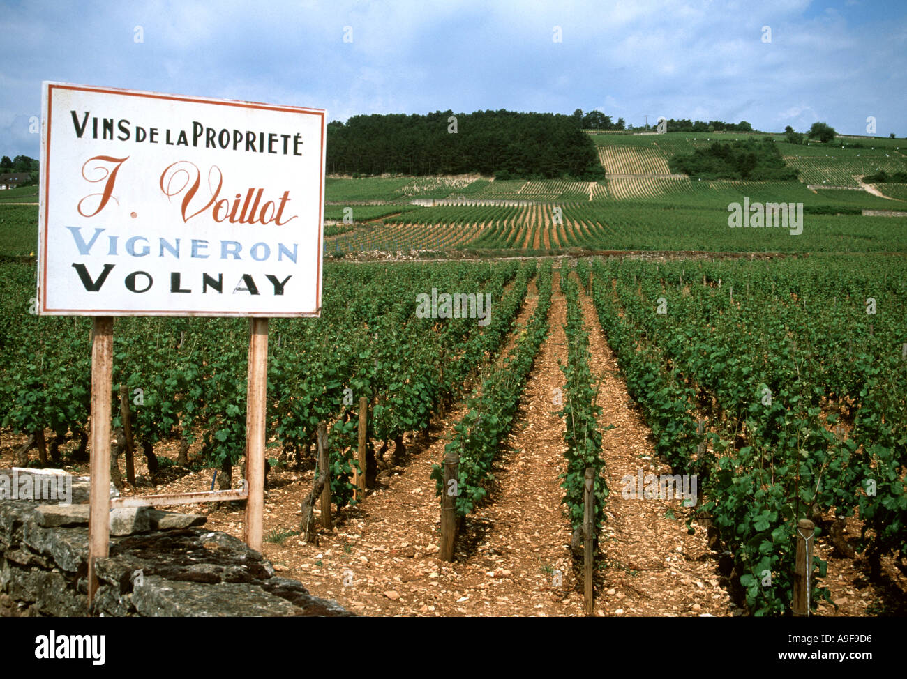 Volnay High Resolution Stock Photography and Images - Alamy