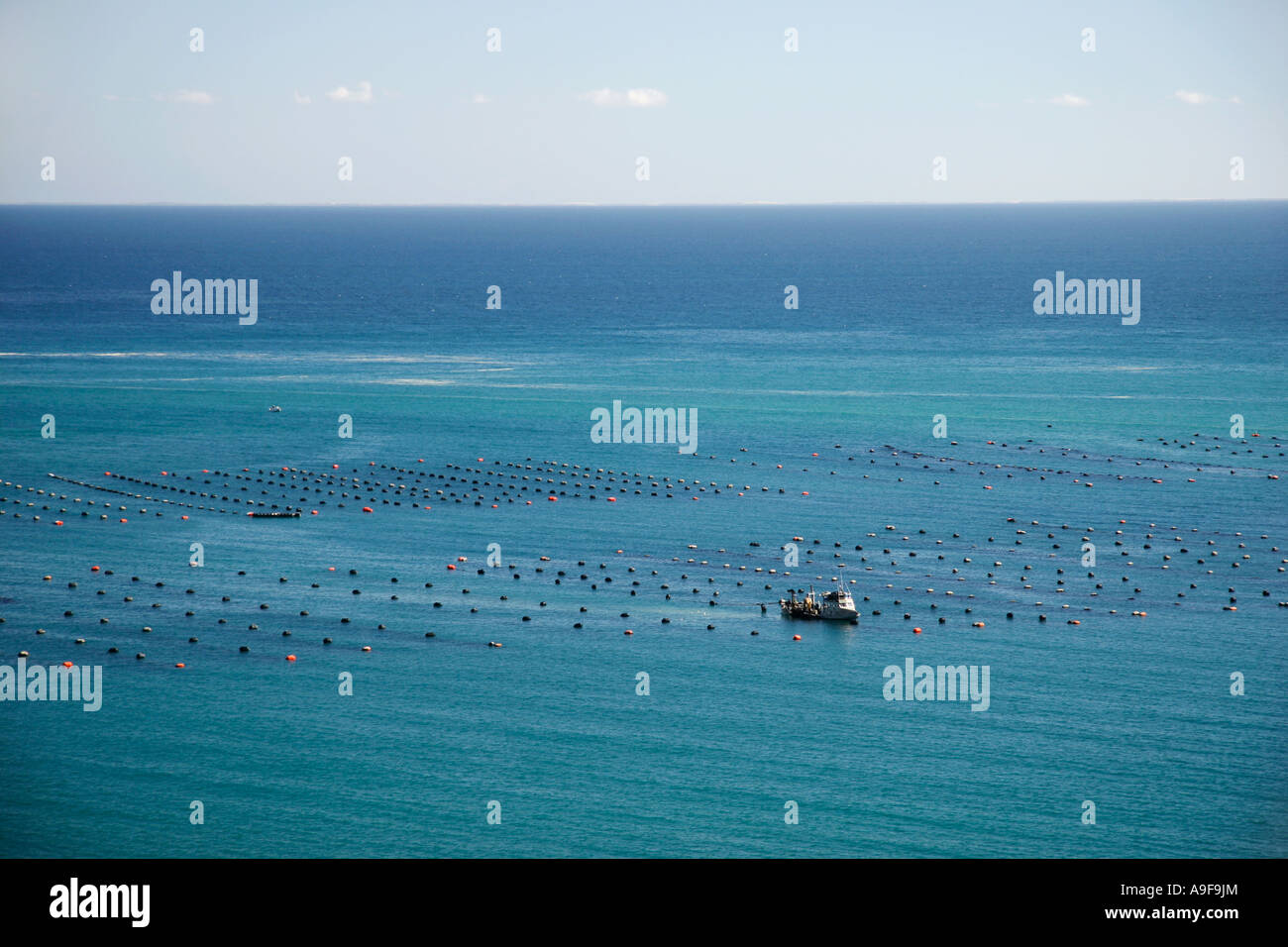 Oyster farm and fishing boats off the coast in Wainui Bay between ...
