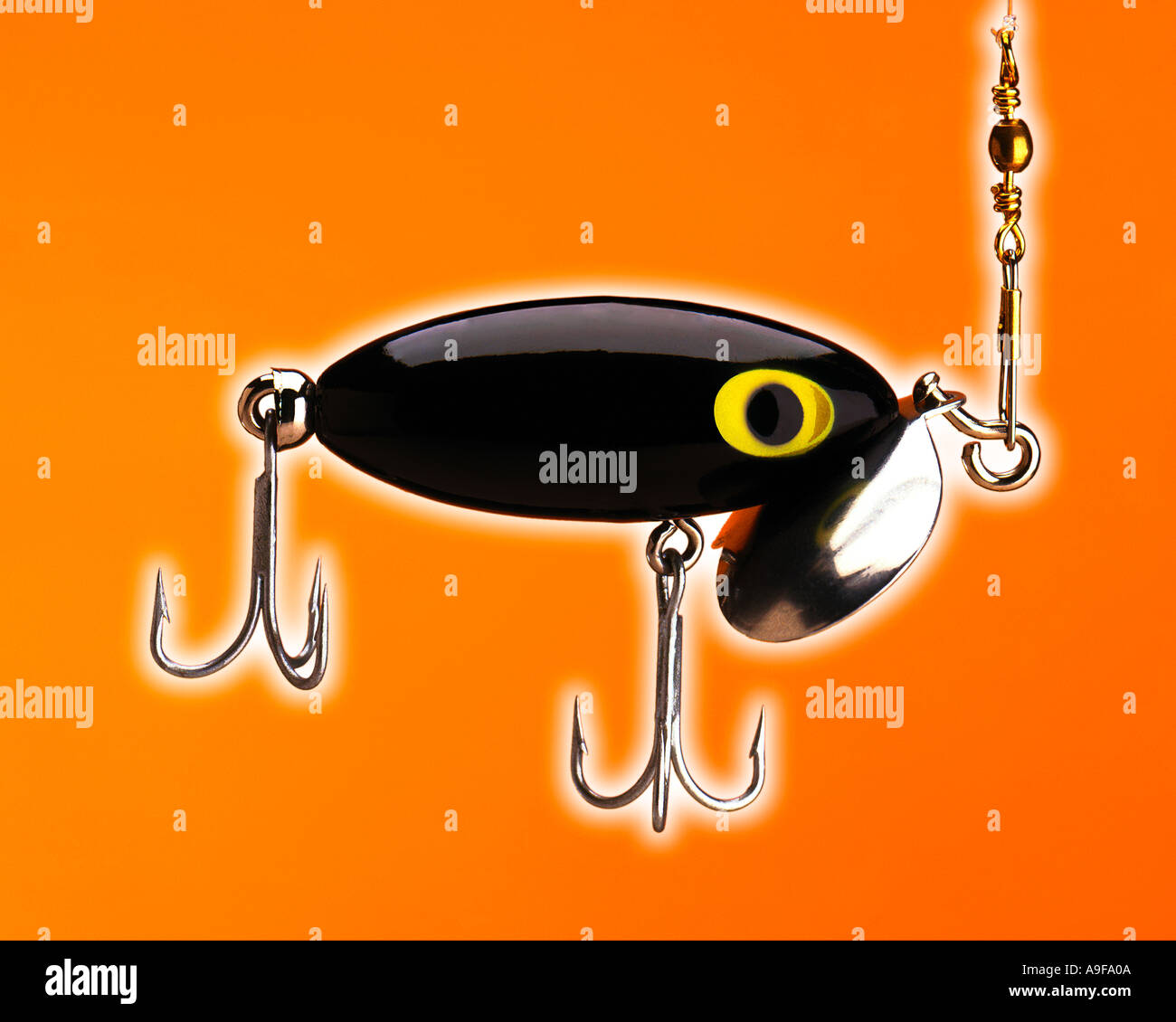 Bug eyes bug hi-res stock photography and images - Alamy