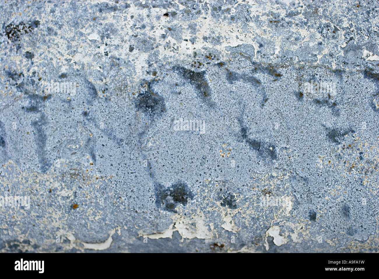 Oxidised metal plate, oxidized, high resolution backgrounds for ...