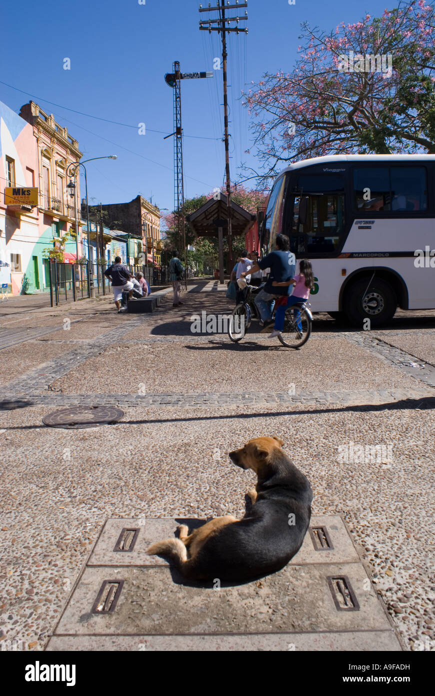 Street Scene with Dog 1461 Stock Photo - Alamy