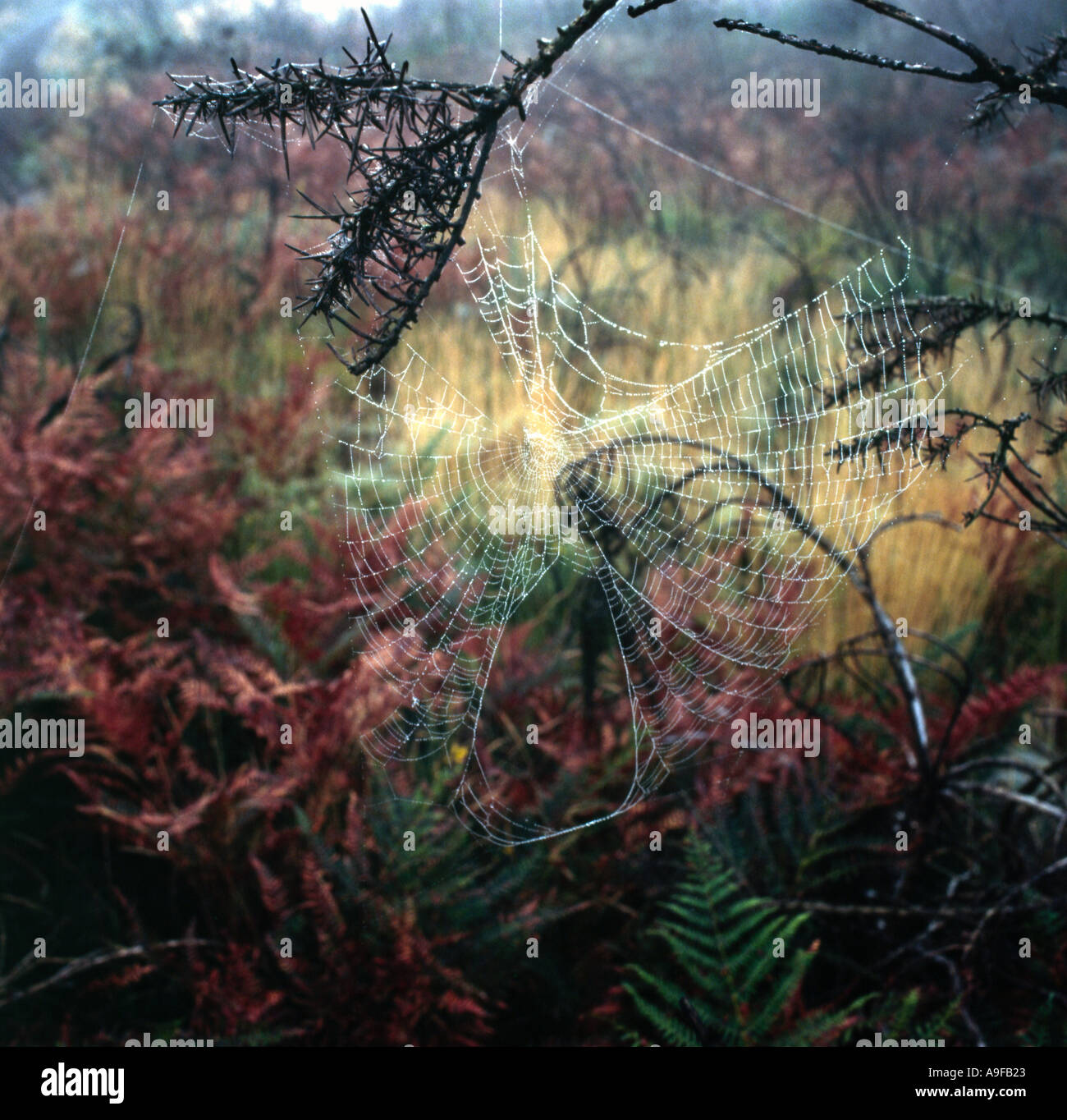 Fim background hi-res stock photography and images - Alamy