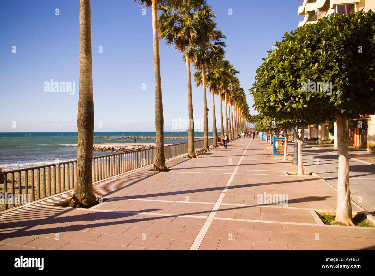 Paseo Maritimo the promenade on the sea front at Marbella on a warm and ...