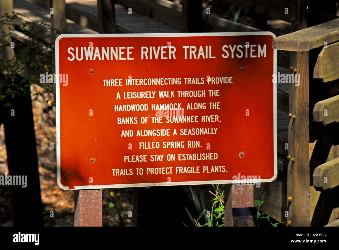 florida hiking Suwannee River State Park trail sign nobody Stock Photo ...