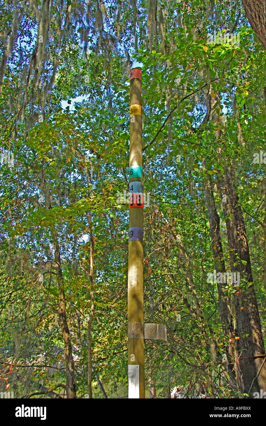 Suwannee River State Park Florida high water flood marker Stock Photo ...