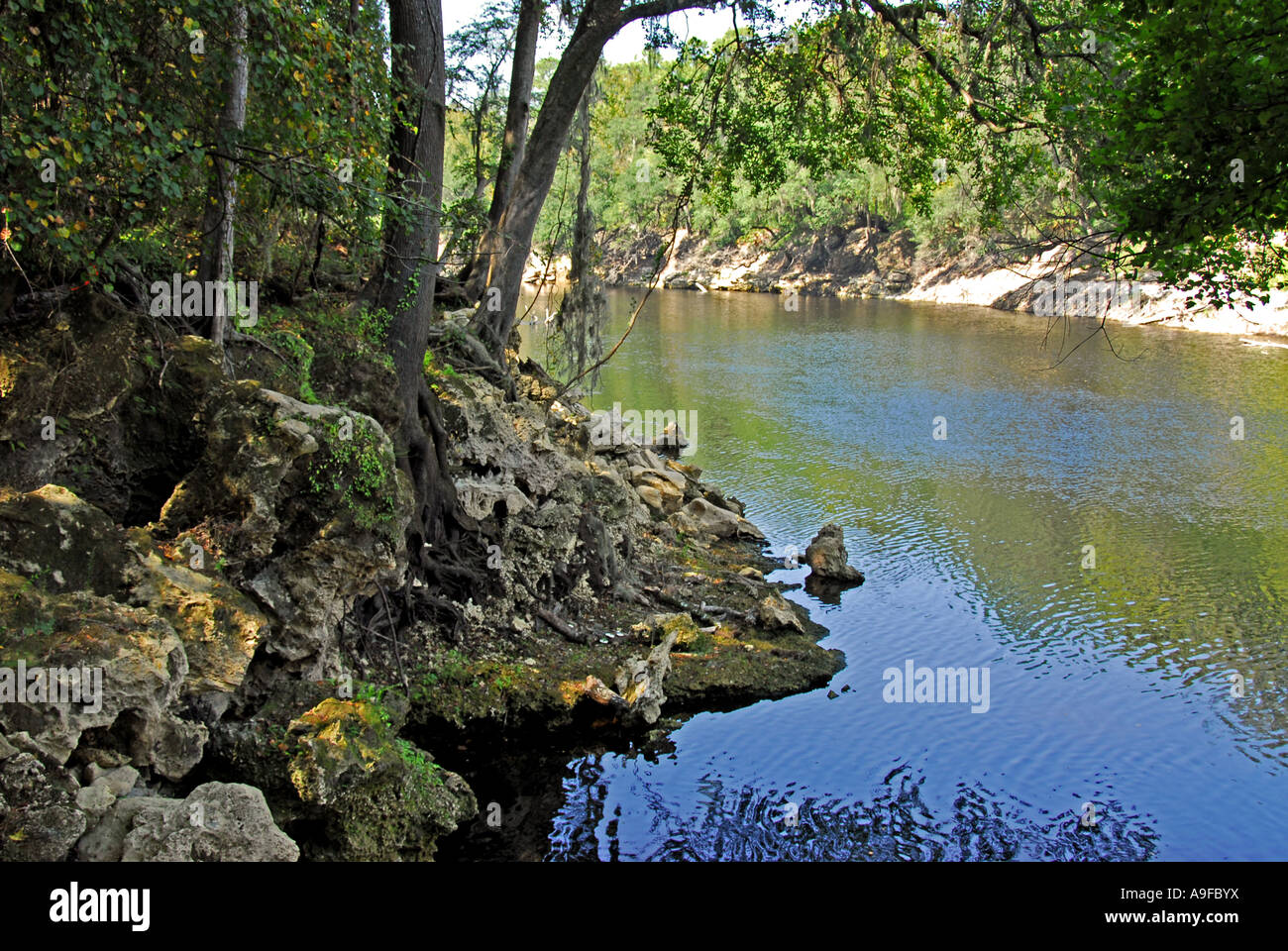 Suwannee River State Park Florida river flow limestone rock banks ...