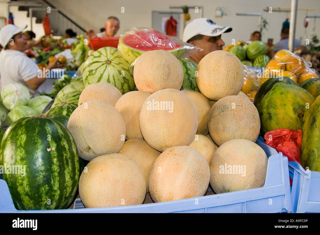 Melons at Panama's San Felipe Neri Public Municipal Market, Republic of ...