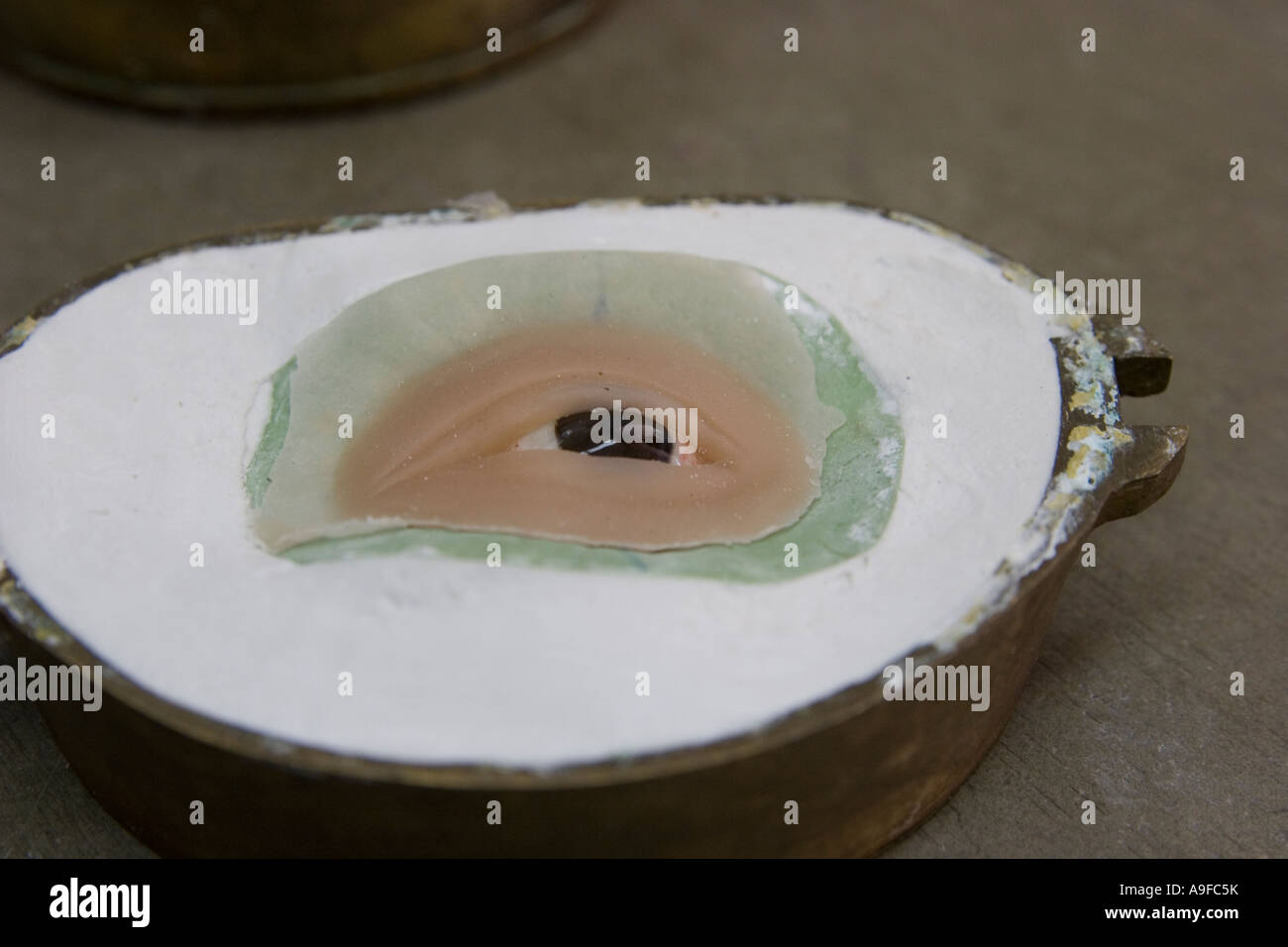Prosthetic eye with eyelids in the mold Stock Photo - Alamy
