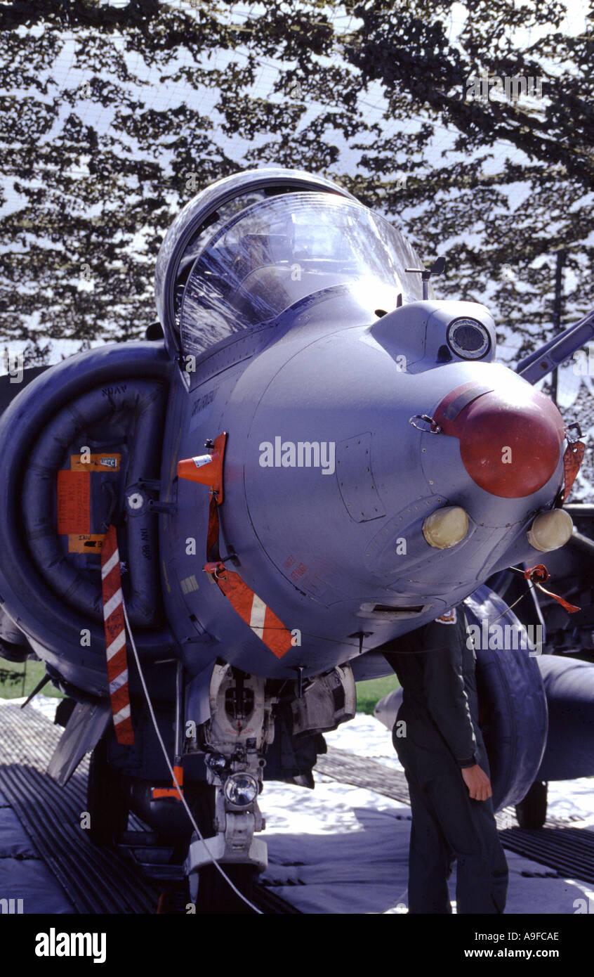 Harrier gr7 hi-res stock photography and images - Alamy